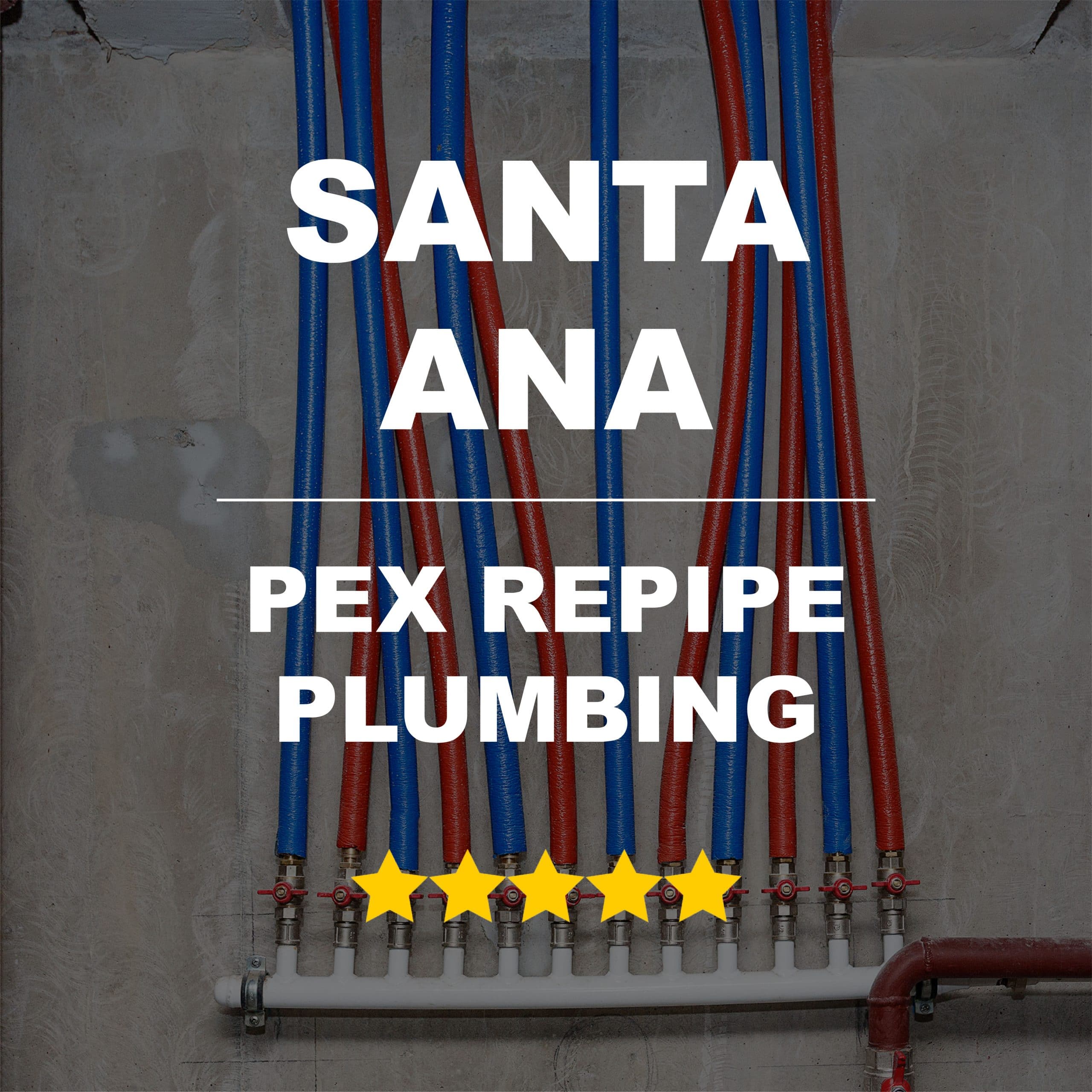 Santa Ana PEX Repipe Plumbing At Integrity Repipe, CA